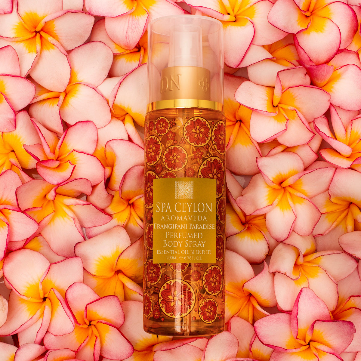 FRANGIPANI PARADISE – Body Spray 200ml – Siyath - The Luxury Ayurveda ...