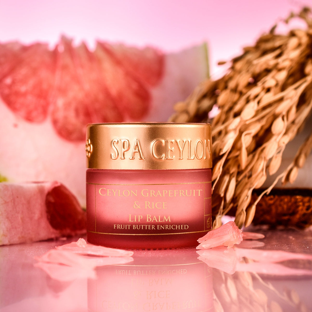 CEYLON GRAPEFRUIT & RICE - Lip Balm - 10g – Siyath - The Luxury ...